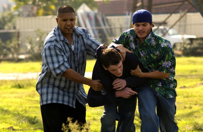 Picture of Alpha Dog