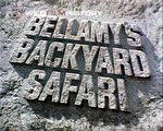 Image of Bellamy's Backyard Safari