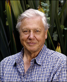 Picture of David Attenborough