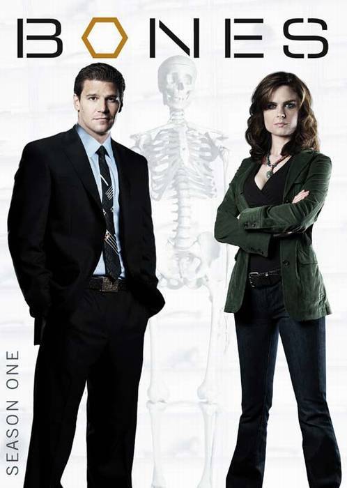 Picture of Bones