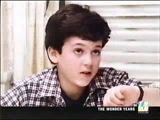 Picture of The Wonder Years