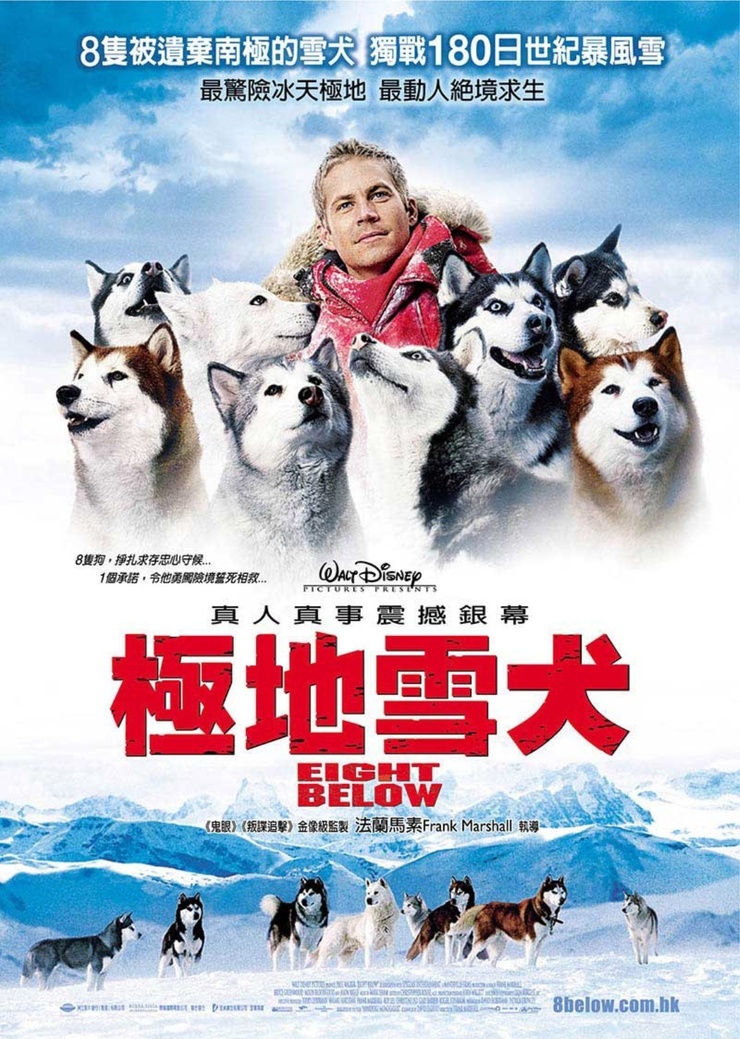 Picture of Eight Below