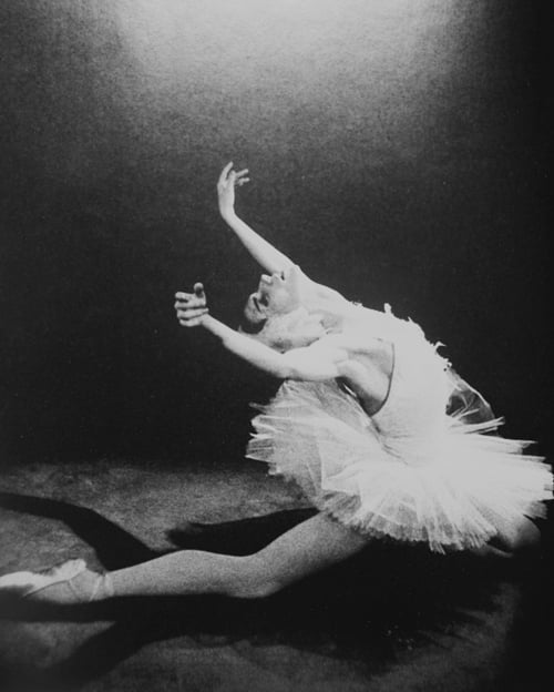 Black Swan image