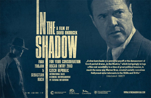 Picture of In the Shadow