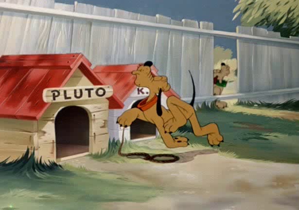 Picture of Pluto\'s Kid Brother