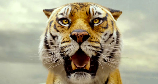 Picture of Richard Parker