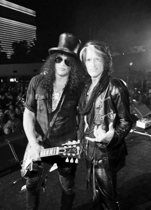 Picture of Slash