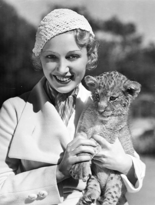 Picture of Leila Hyams