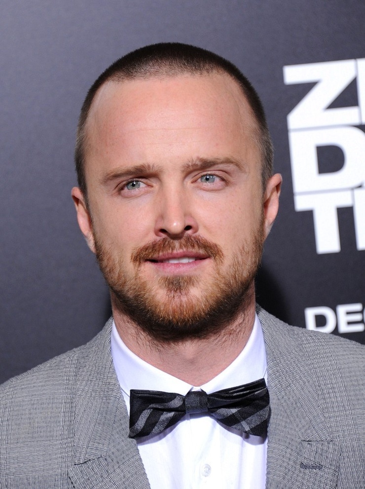 Picture of Aaron Paul
