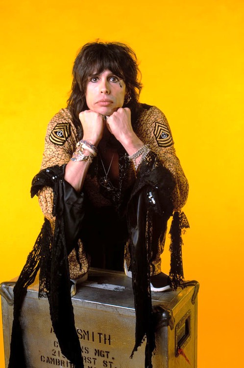 Picture of Steven Tyler