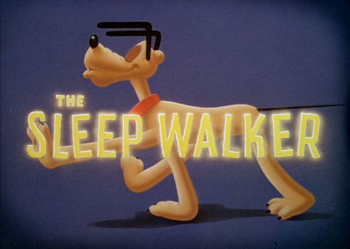 Picture of The Sleepwalker