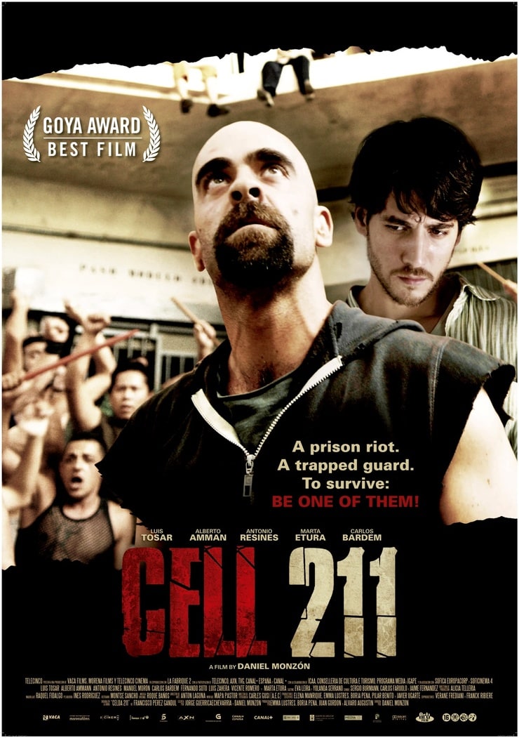 Picture of Cell 211
