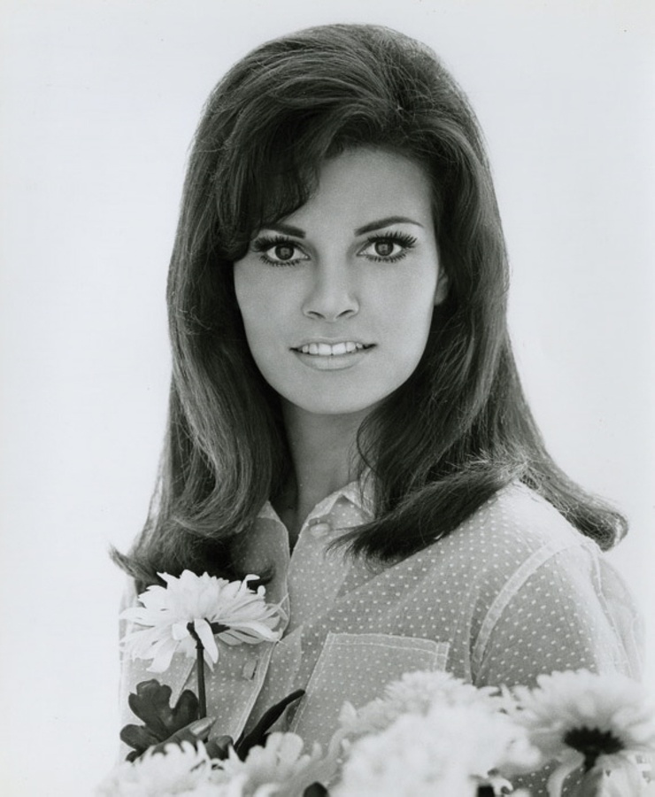 Picture of Raquel Welch