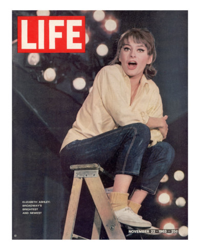 Picture of Elizabeth Ashley