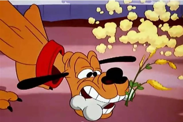 Picture of Bone Bandit