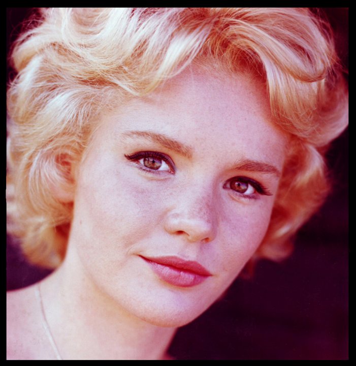 Tuesday Weld Pool