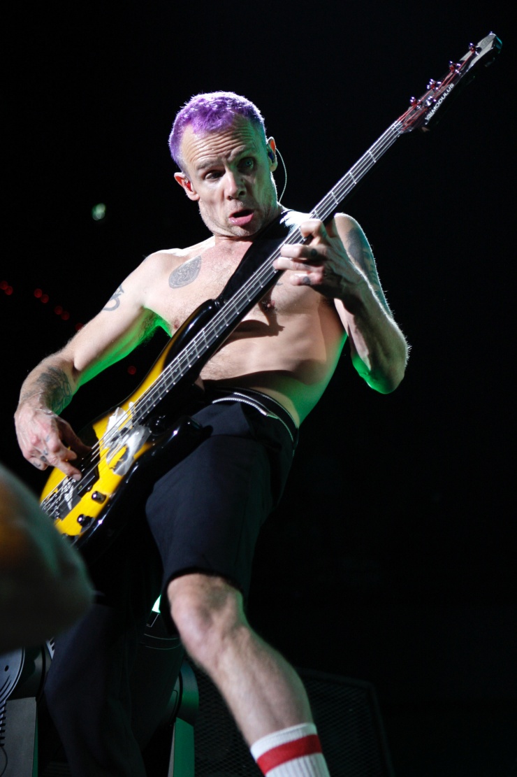 Picture of Flea