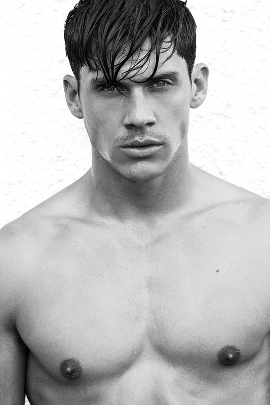 Picture of ZEB RINGLE