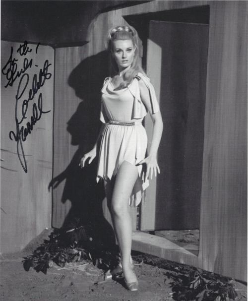 Celeste Yarnall Elvis