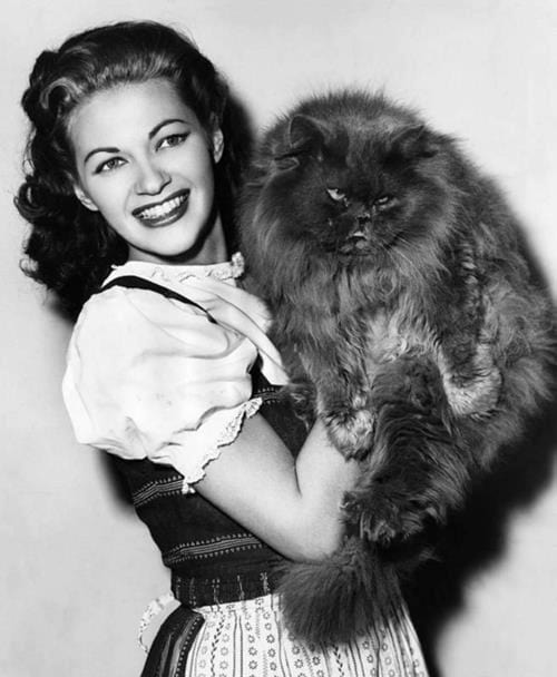 Picture of Yvonne De Carlo