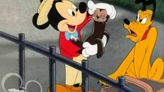 Picture of Mickey and the Seal