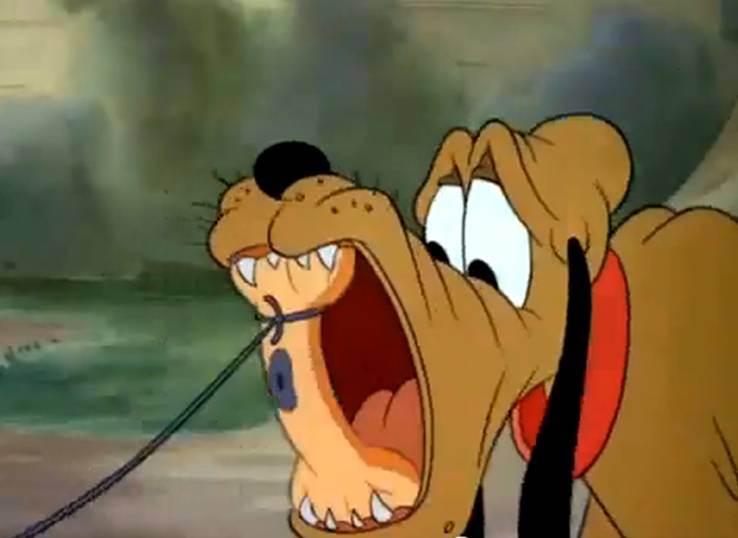 Donald's Dog Laundry image