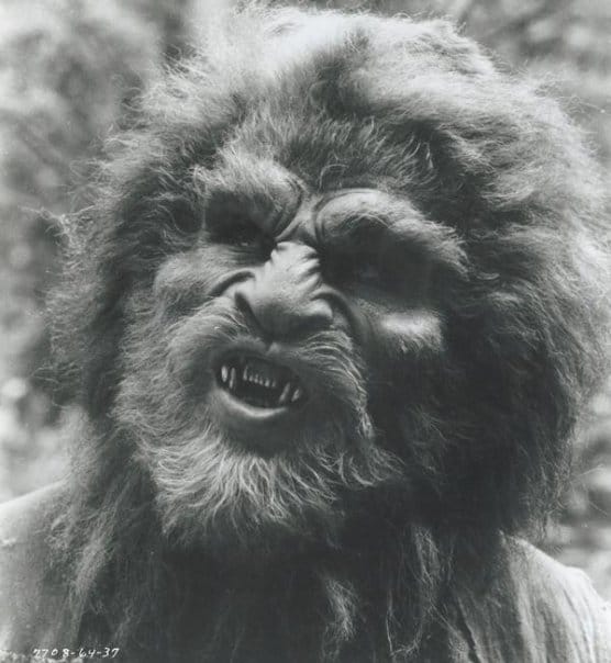 The Island of Dr. Moreau picture