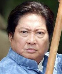 Picture of Sammo Hung Kam-Bo