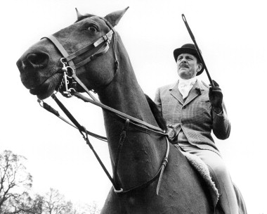 Picture of Terry-Thomas