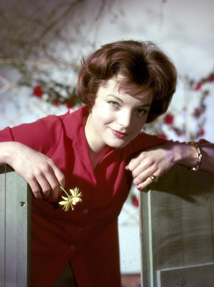 Picture of Romy Schneider