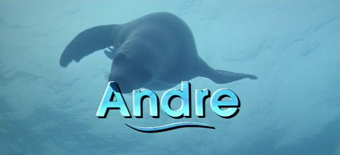 Andre picture