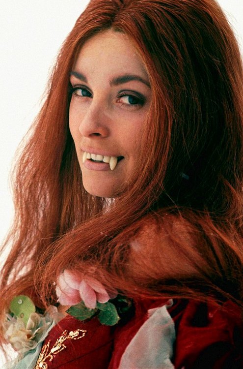 Picture of The Fearless Vampire Killers (1967)