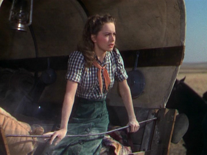 Picture of Dodge City