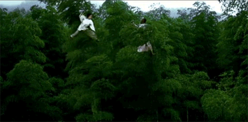 Crouching Tiger, Hidden Dragon