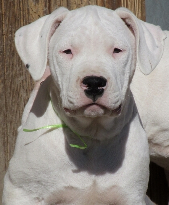 Listal - List the stuff you love! Movies, TV, music, games and books