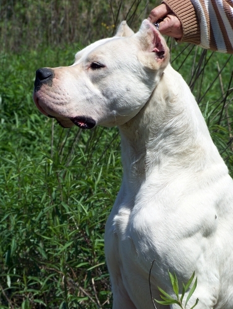 Listal - List the stuff you love! Movies, TV, music, games and books