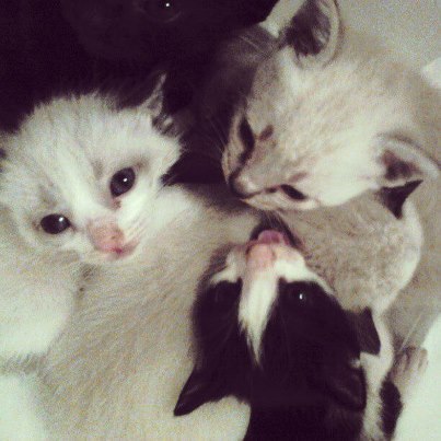 Listal - List the stuff you love! Movies, TV, music, games and books