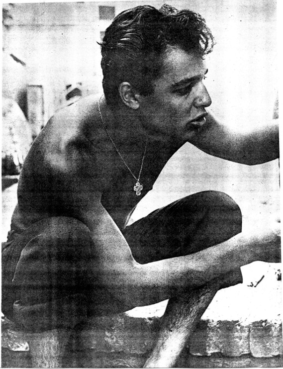Sal Mineo image