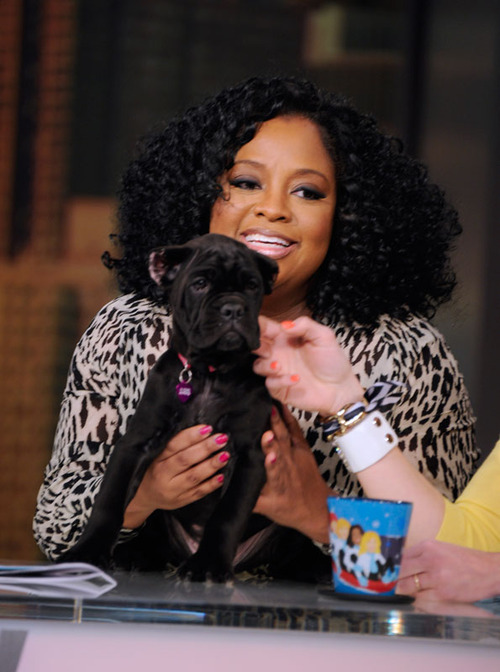 Picture of Sherri Shepherd