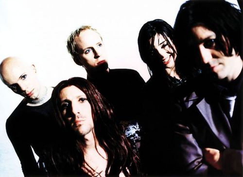 Picture of A Perfect Circle