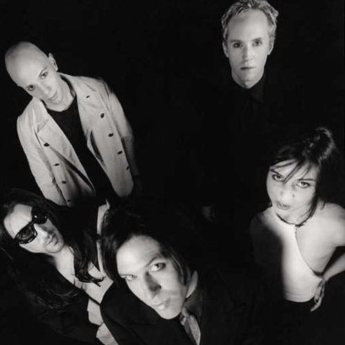 Picture of A Perfect Circle