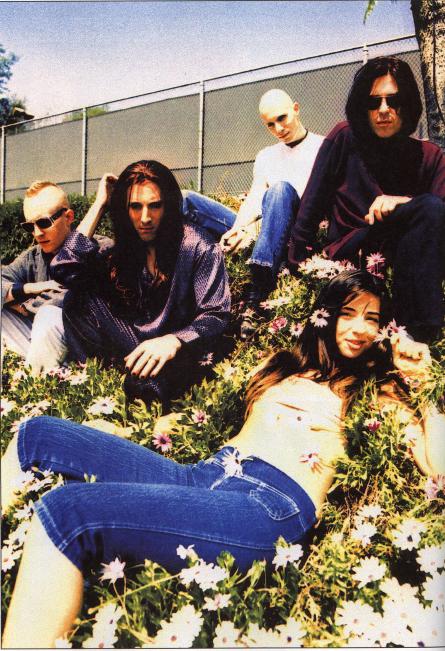 Picture of A Perfect Circle