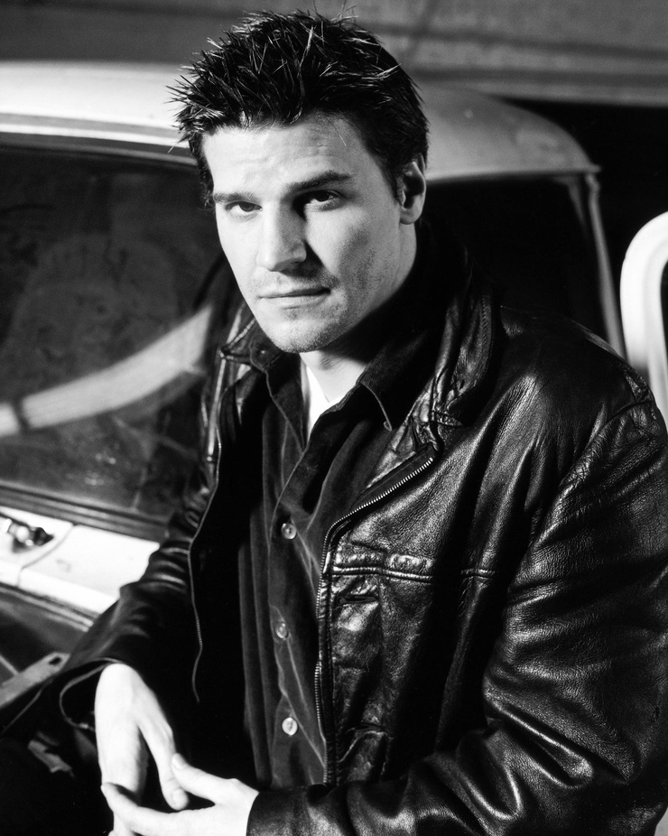 Picture of David Boreanaz