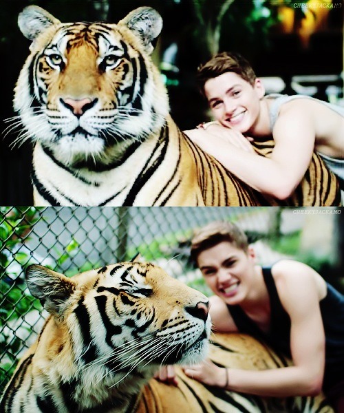 Image of Jack Harries