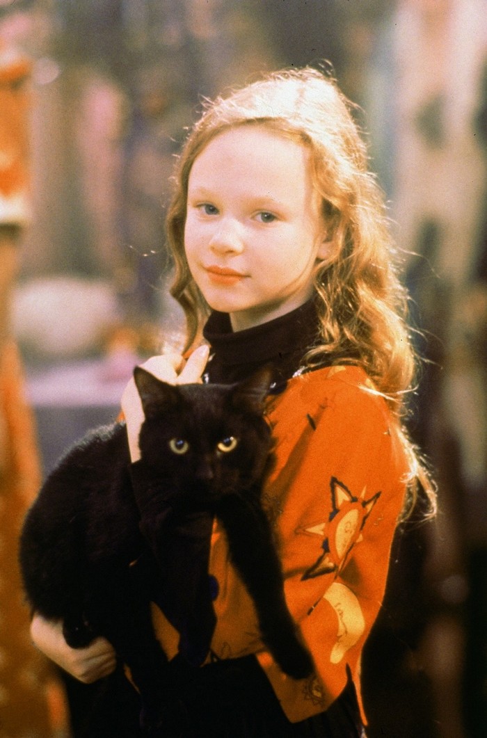 Picture of Hocus Pocus (1993)
