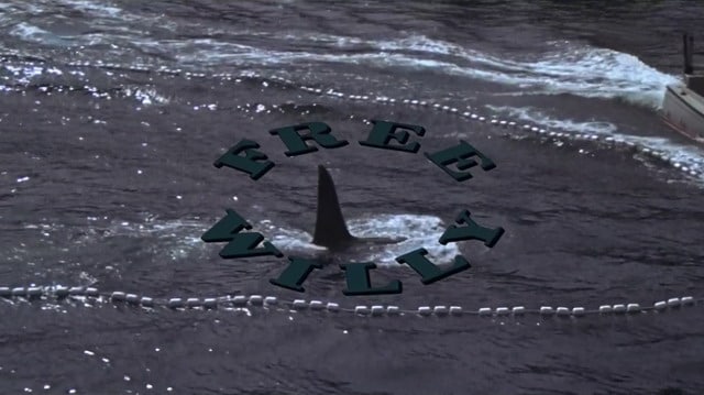 Picture of Free Willy