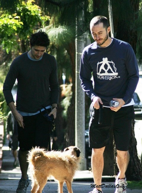 Picture of Blue Hamilton