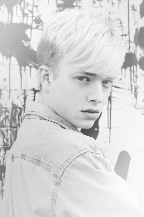 Paul Craddock picture