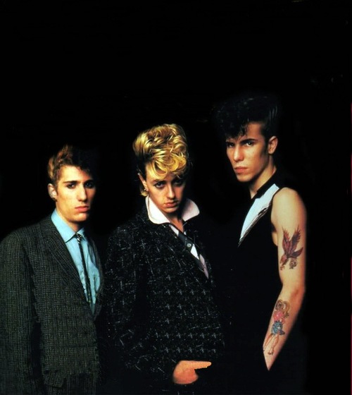 Picture of Stray Cats