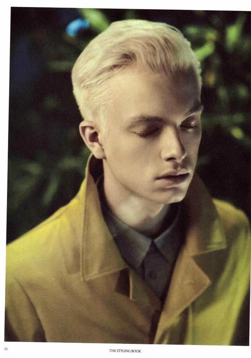 Picture of Paul Craddock